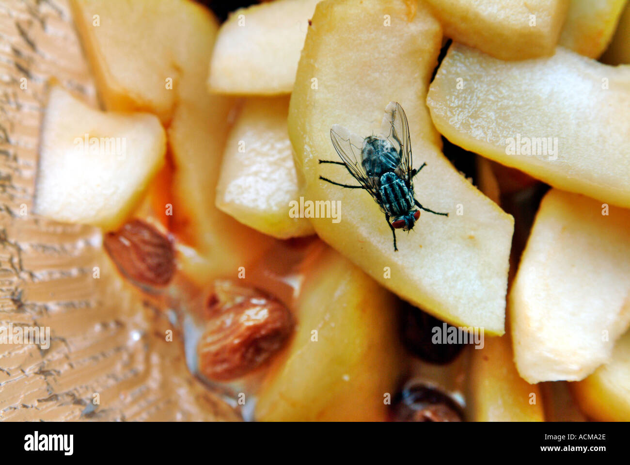 Bad fruit salad hi-res stock photography and images - Alamy