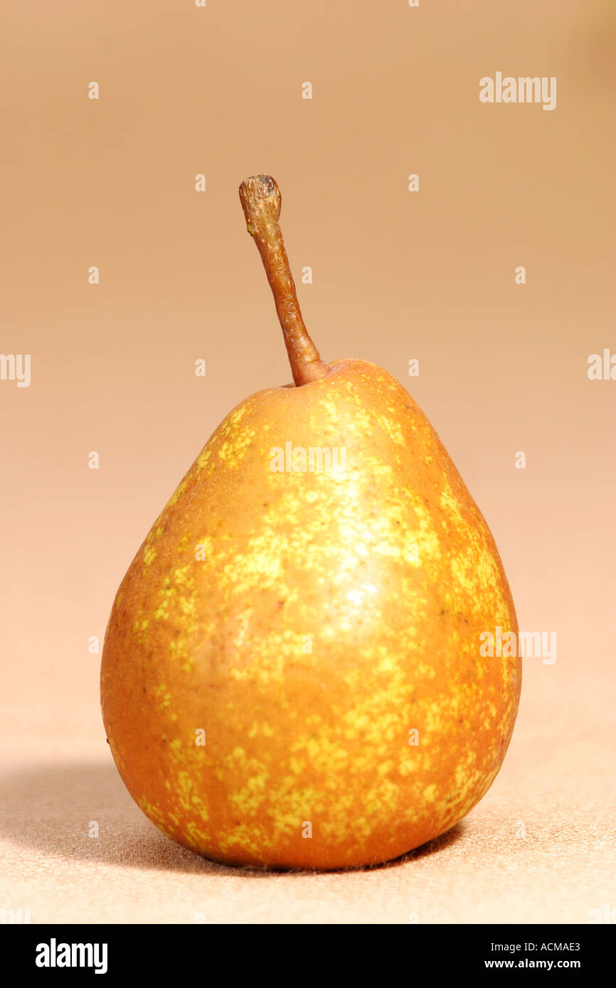 pear Herzogin Elsa german name Stock Photo - Alamy