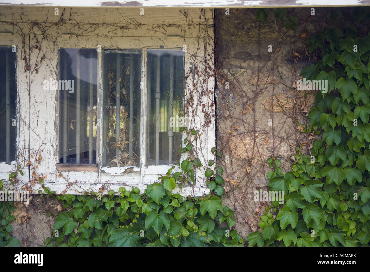 Iron bars in a window for security Stock Photo - Alamy