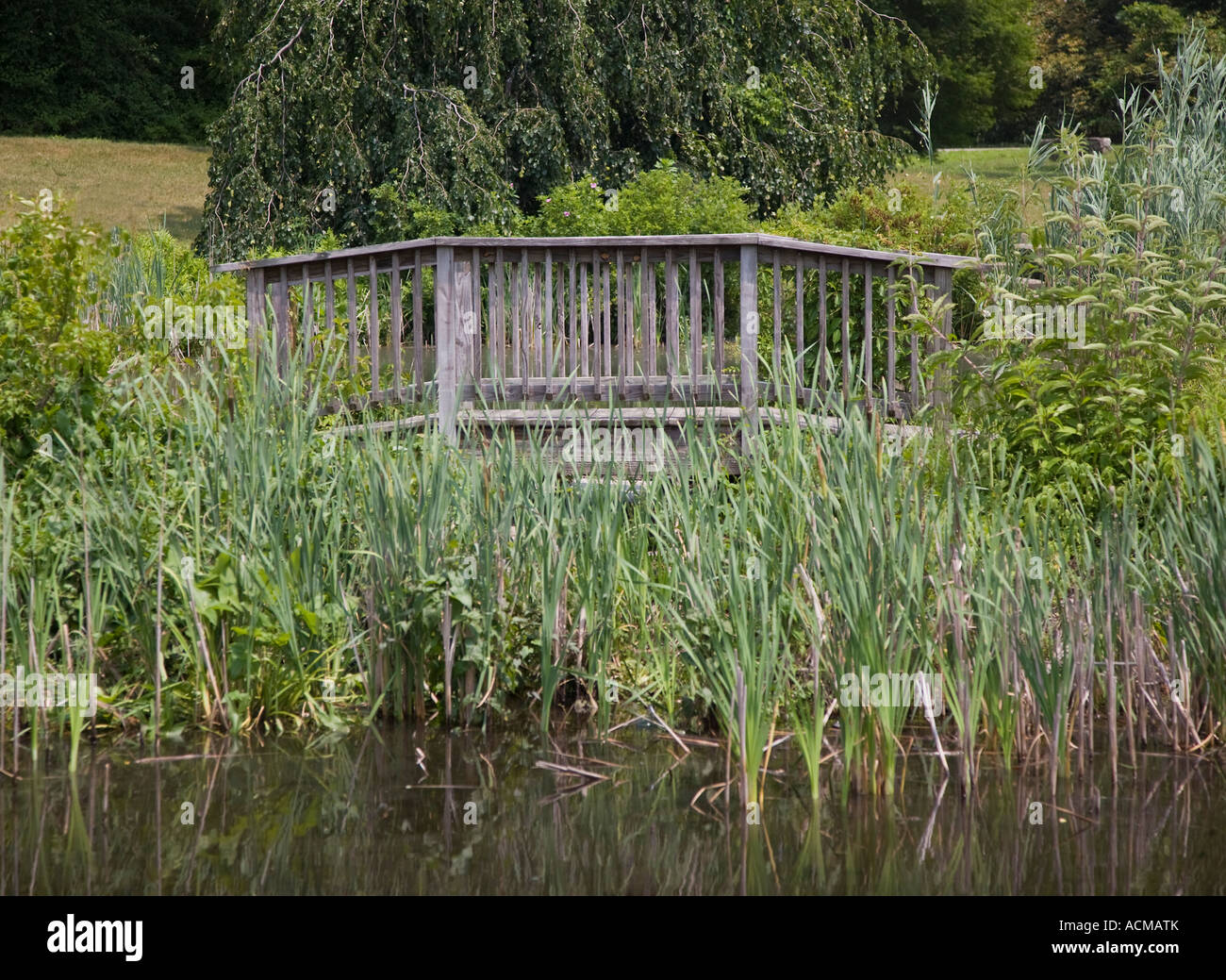 Wooden footbridge by a small pond Stock Photo - Alamy