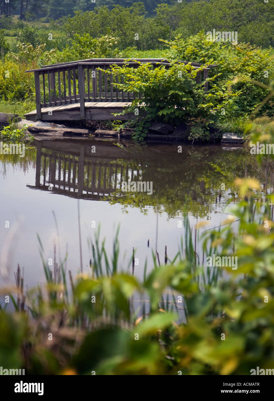 Wooden bridge by a small pond Stock Photo - Alamy