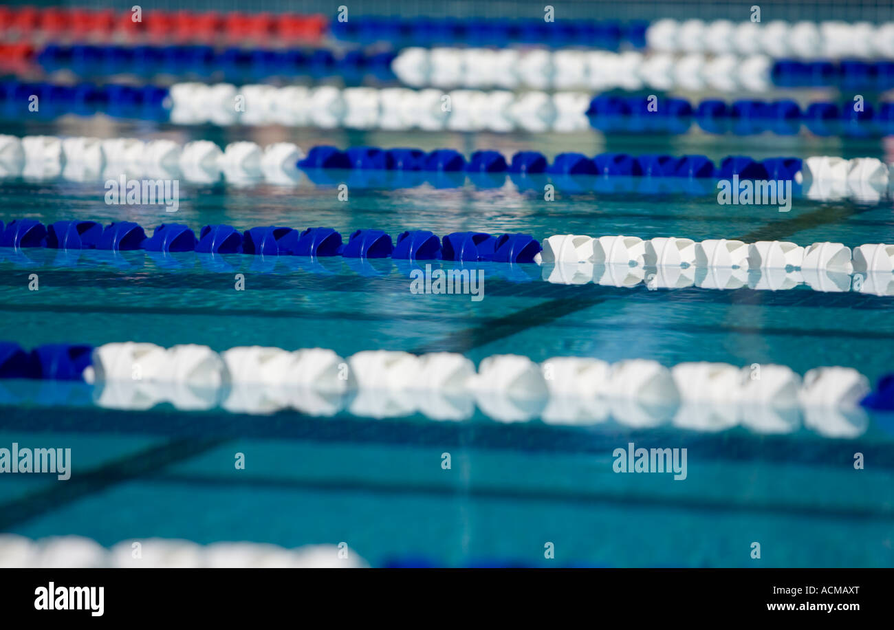 Swimming lanes in a pool Stock Photo - Alamy