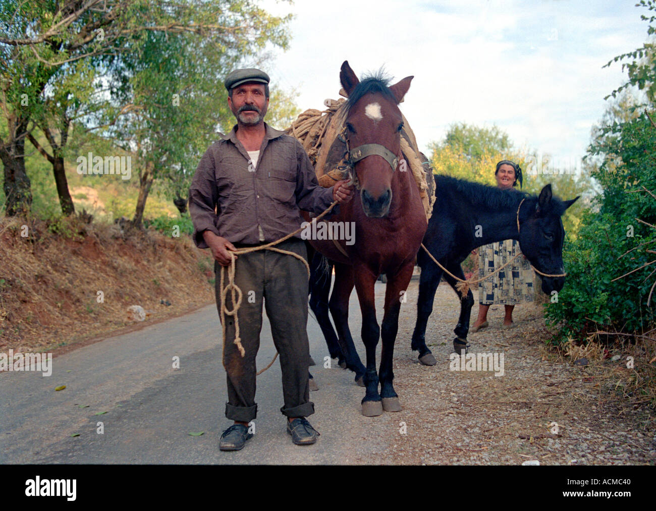 8-bit RGB flat IBM byte order uncompressed TIFF file, 5196x3690 pixels ...