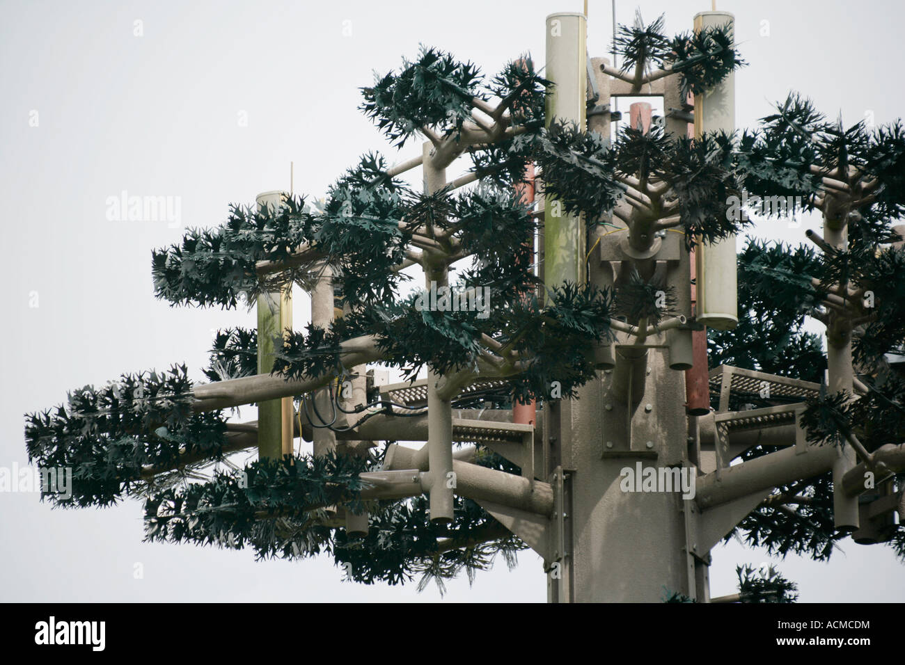 Antenna made to look like tree hi-res stock photography and images - Alamy
