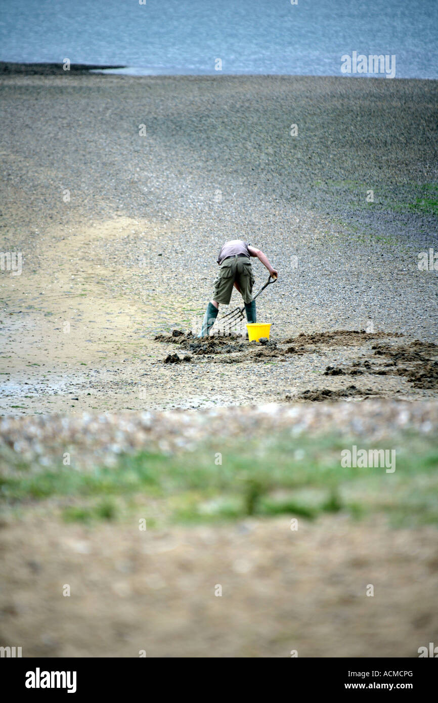 Digging for sand worms hi-res stock photography and images - Alamy