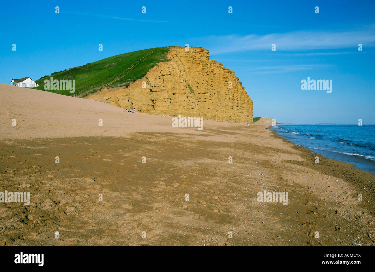 Beach Sandstone Cliffs West Bay Bridport Stock Photo - Alamy