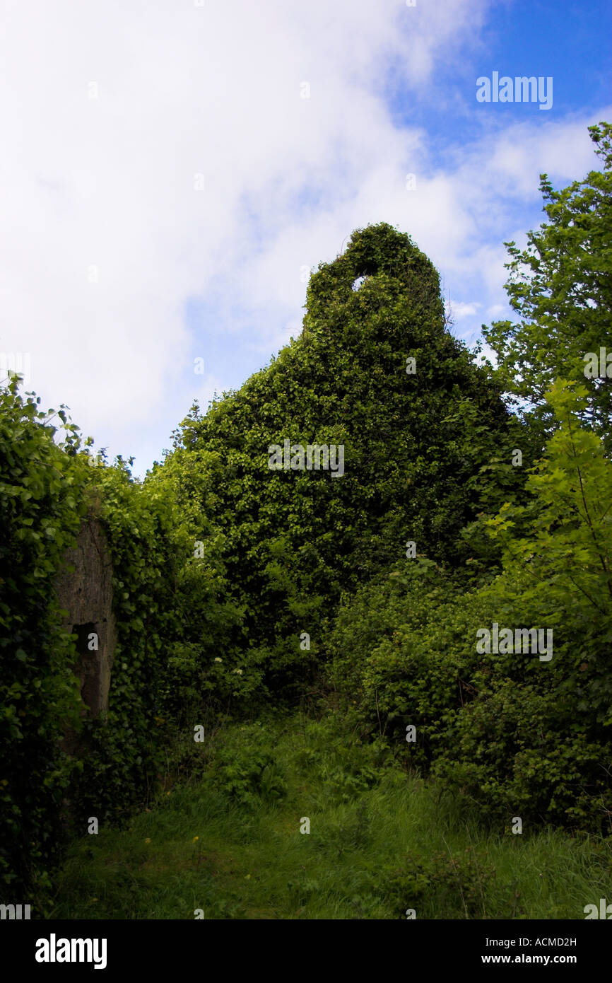 The ruins of New Church Lough Gur Bruff Co Limerick Ireland Stock Photo ...