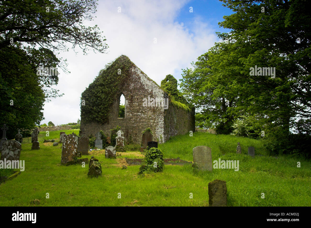 The ruins of New Church Lough Gur Bruff Co Limerick Ireland Stock Photo ...