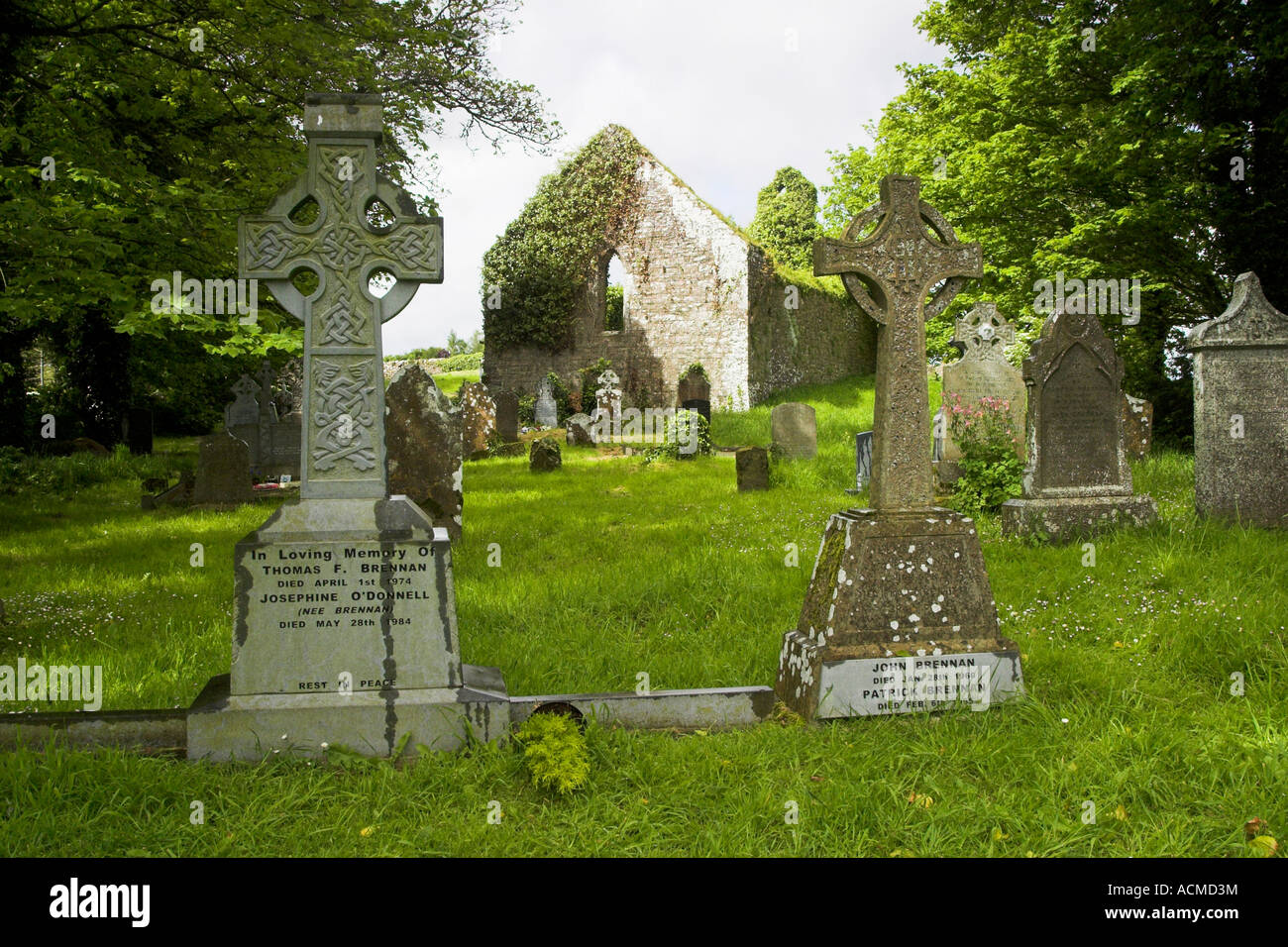 The ruins of New Church Lough Gur Bruff Co Limerick Ireland Stock Photo ...