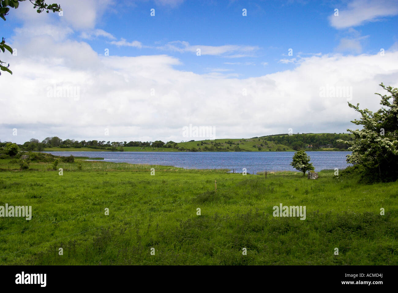 A view of Lough Gur Bruff Co Limerick Ireland Stock Photo - Alamy