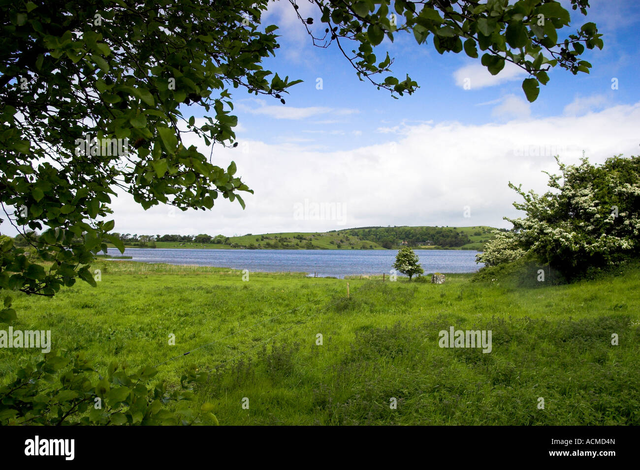 A view of Lough Gur Bruff Co Limerick Ireland Stock Photo - Alamy