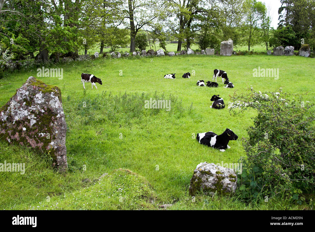 Grange Stone Circle Lough Gur Stone Age Centre Bruff Co Limerick ...