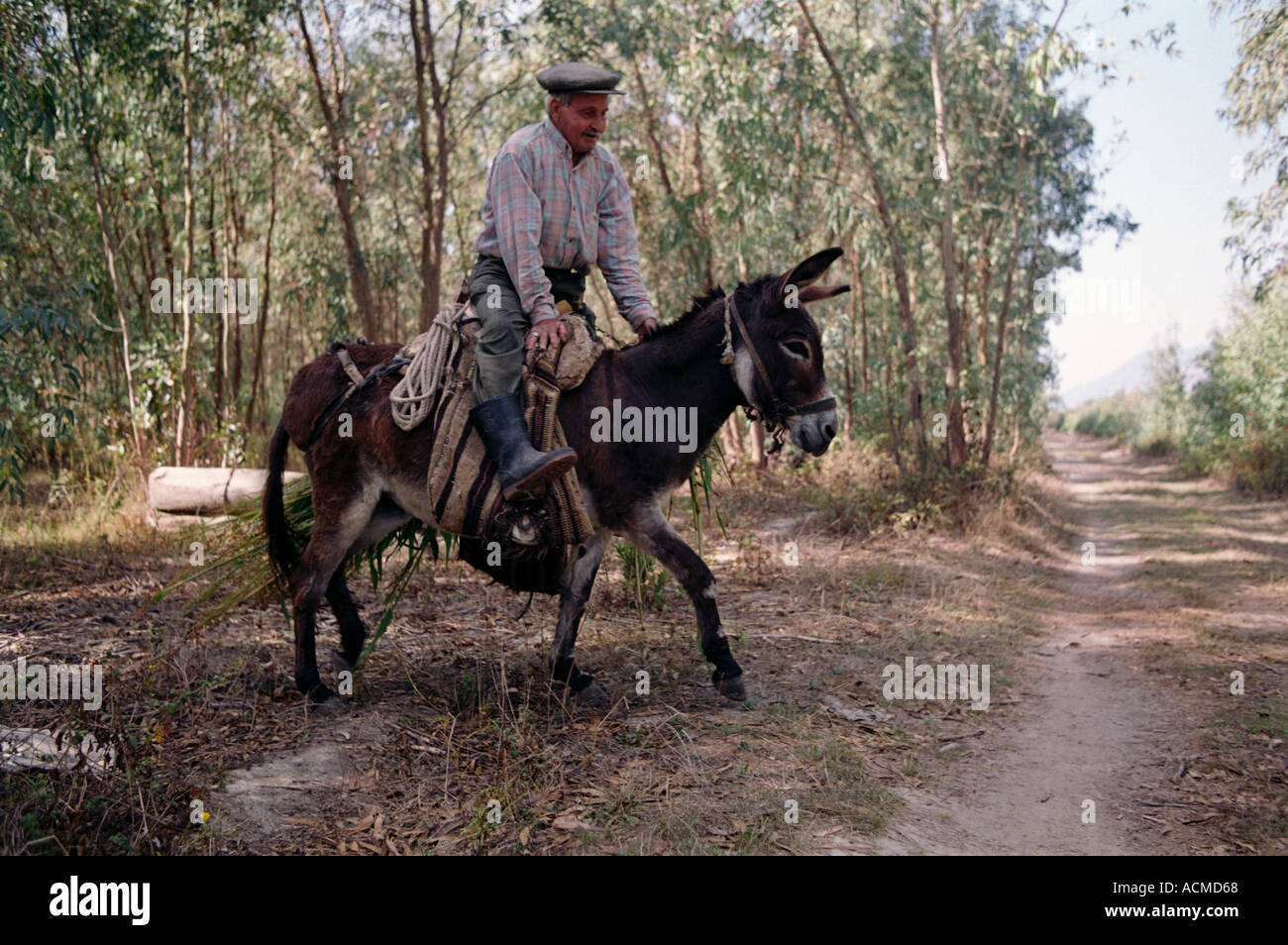 Man riding donkey turkey hi-res stock photography and images - Alamy