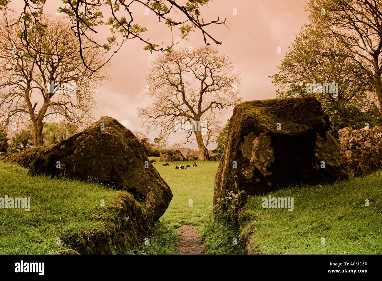 Grange Stone Circle Lough Gur Stone Age Centre Bruff Co Limerick ...
