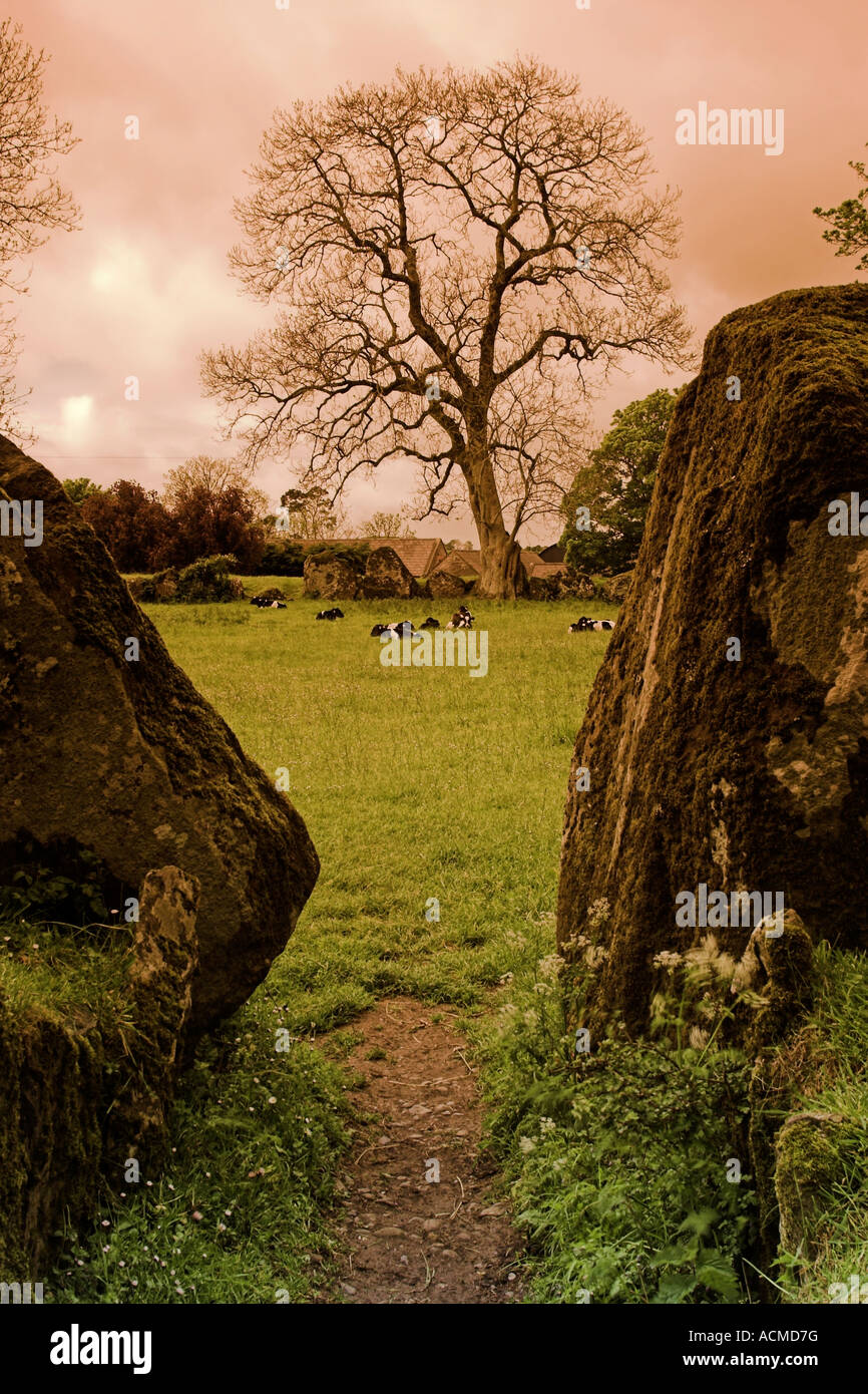 Grange Stone Circle Lough Gur Stone Age Centre Bruff Co Limerick ...