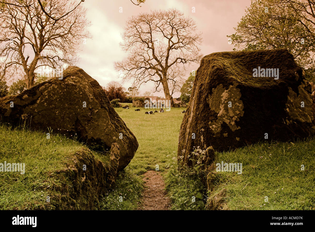 Grange Stone Circle Lough Gur Stone Age Centre Bruff Co Limerick ...