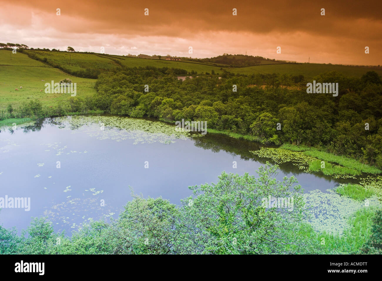 The view from the Castle Craggaunowen near Quin Co Clare Ireland Stock ...