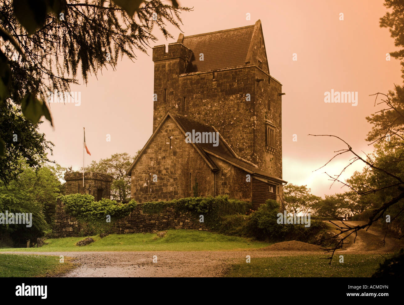 Craggaunowen county clare hi-res stock photography and images - Alamy