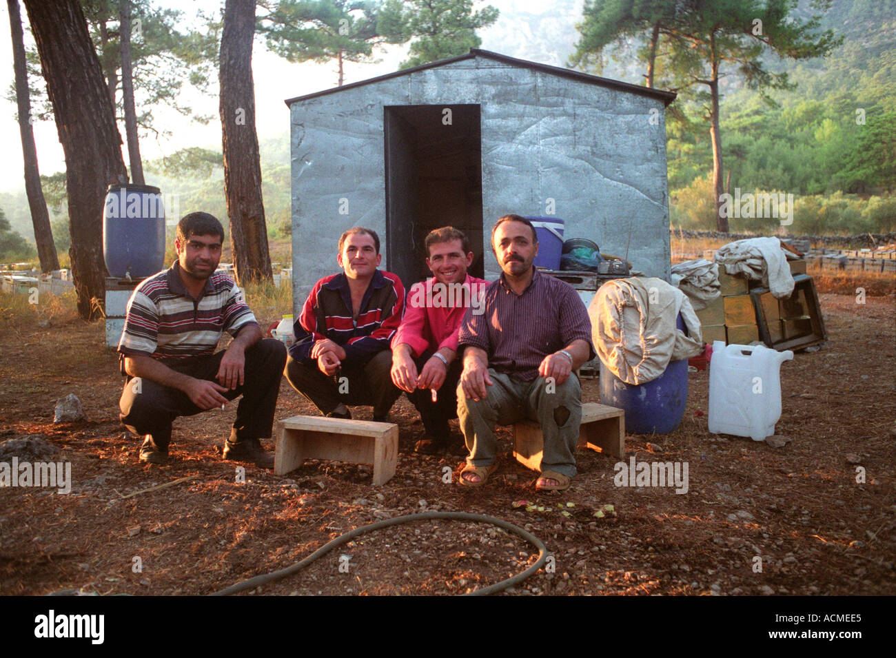 Male migrant bee keepers sitting outside their temporary home in pine ...