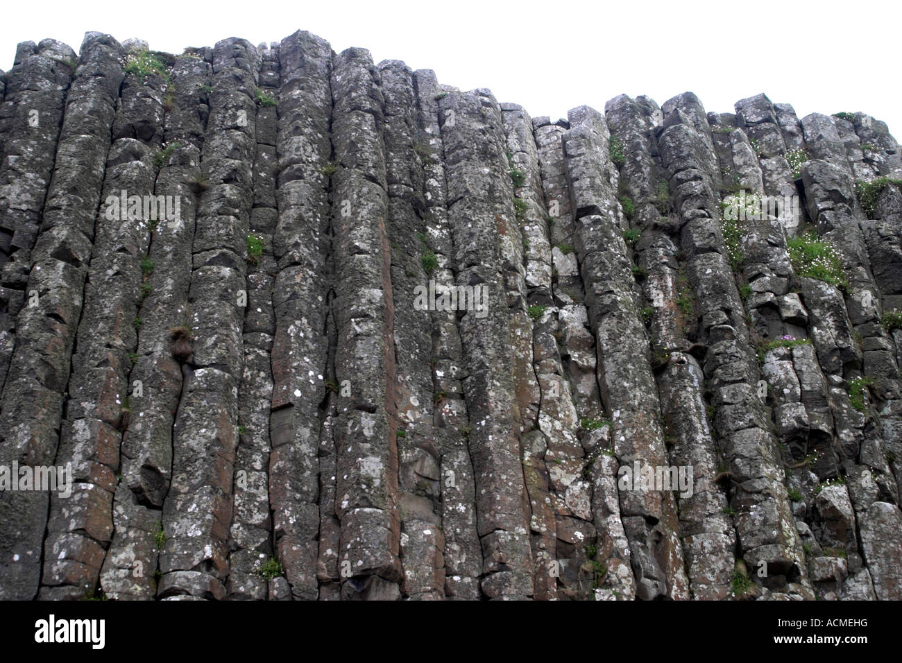 Basalt Columns Giant s Causeway Co Antrim Northern Ireland Stock Photo ...