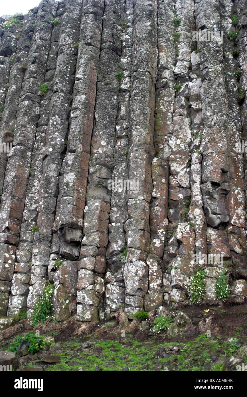 Basalt columns Giant s Causeway Co Antrim Northern Ireland Stock Photo ...