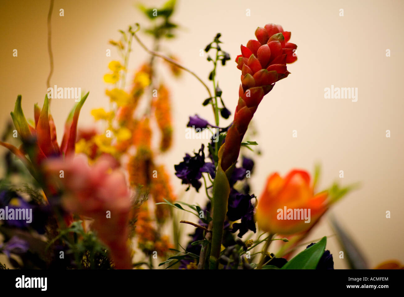 Flowers at the Central Library Los Angeles County California United ...