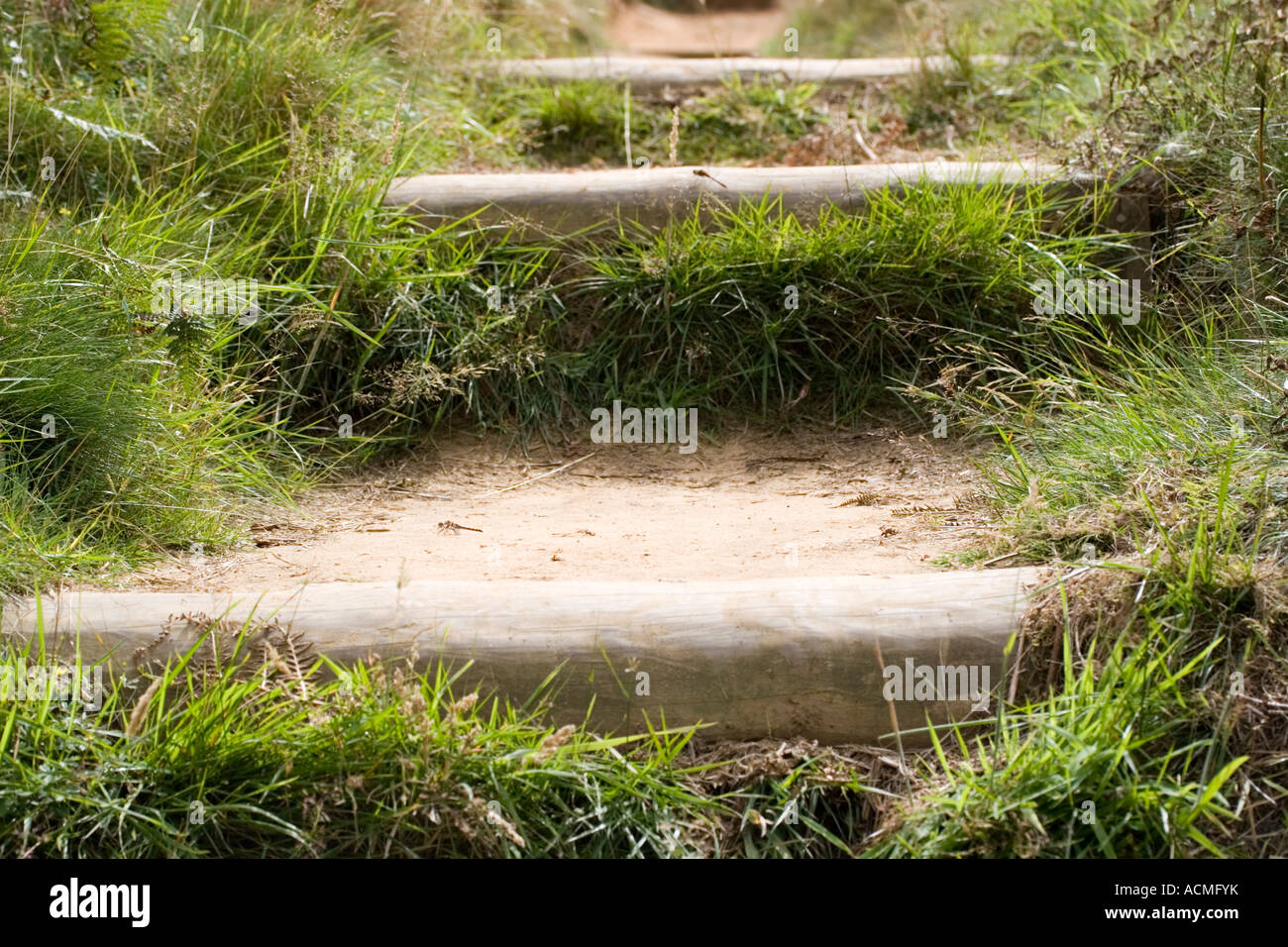 Concrete steps with grass Stock Photo - Alamy