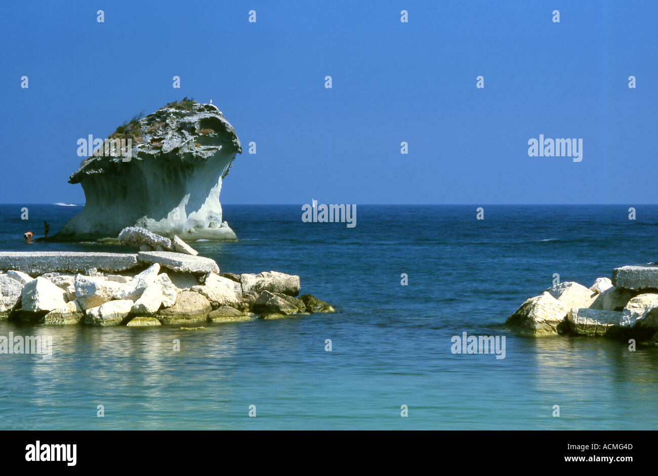 Lacco ameno mushroom hi-res stock photography and images - Alamy