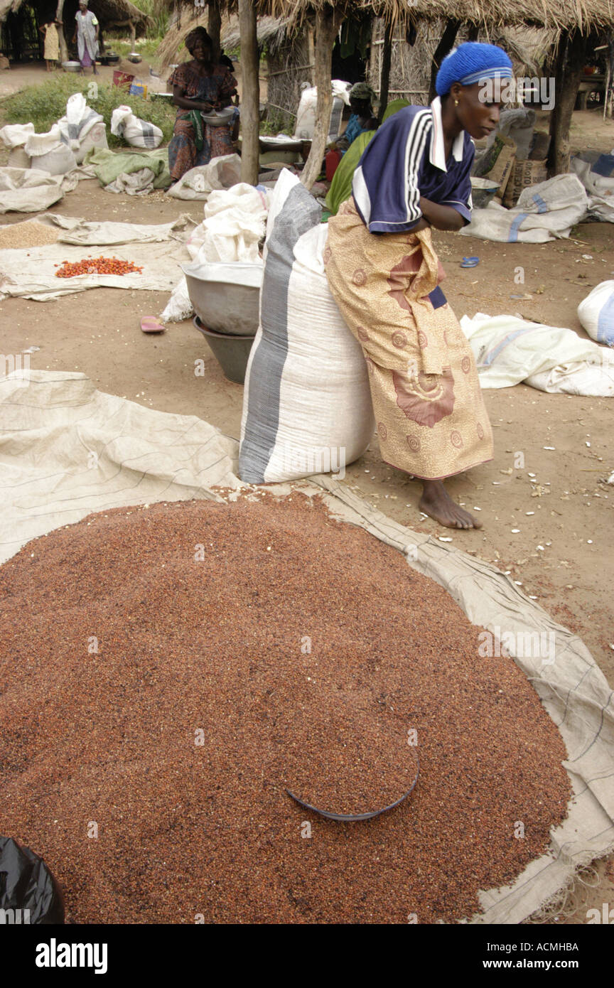 Millet market hi-res stock photography and images - Alamy