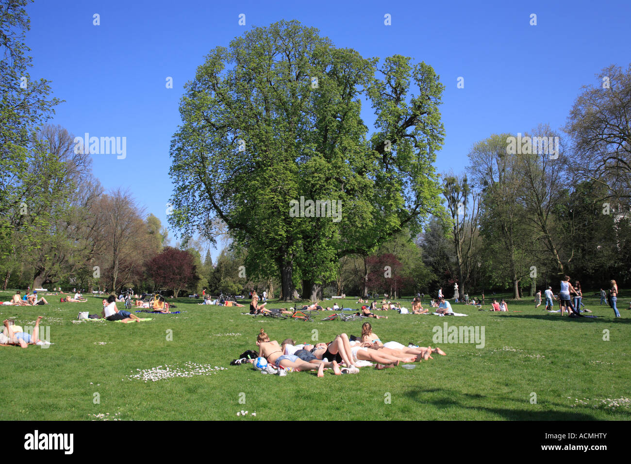 Germany park sun tanning hi-res stock photography and images - Alamy