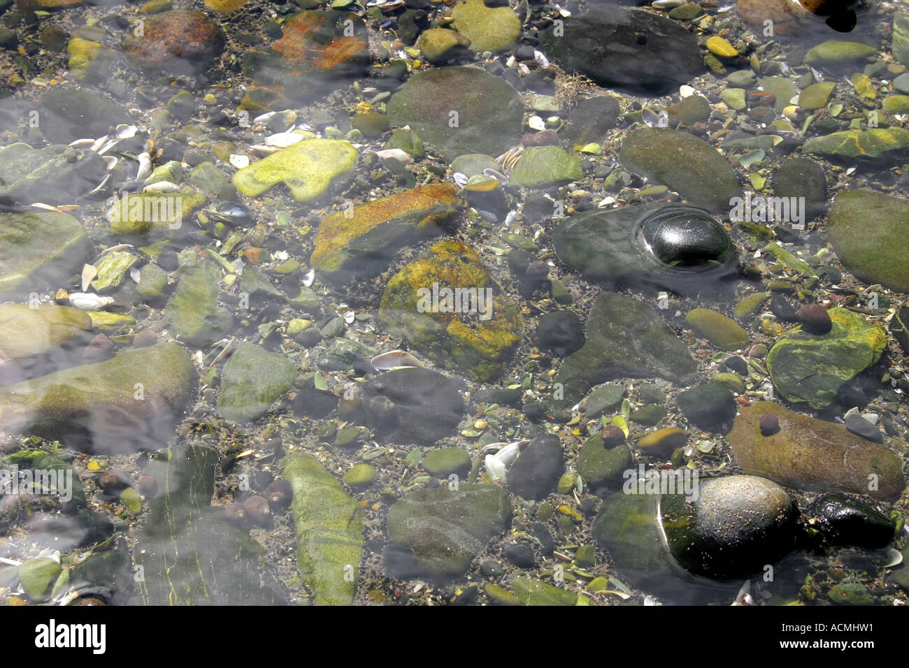 Rock pool on Newcastle beach, County Down, Northern Ireland Stock Photo ...