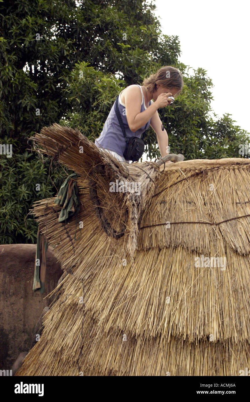 Tourist photographing granary Nadoba Togo West Africa Stock Photo - Alamy