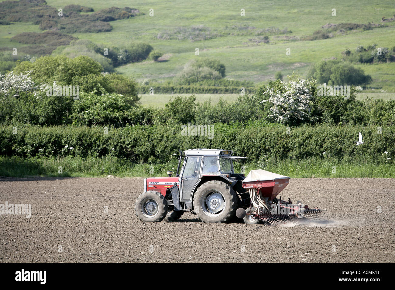 Farmer driving his tractor working the land Stock Photo - Alamy