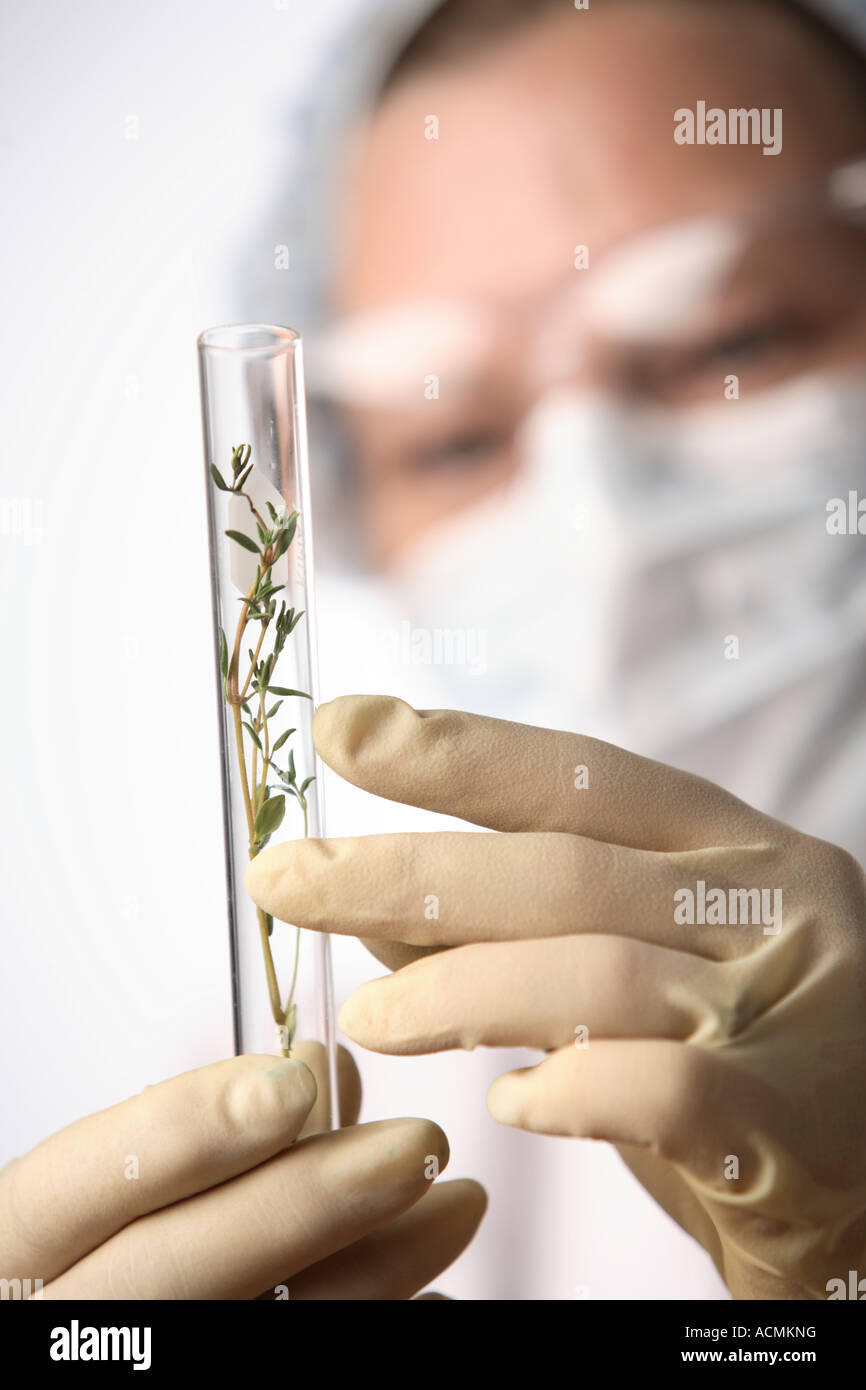 Plant material hi-res stock photography and images - Alamy