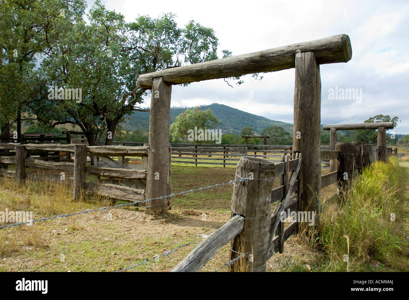 Cattle property stockyard Stock Photo - Alamy
