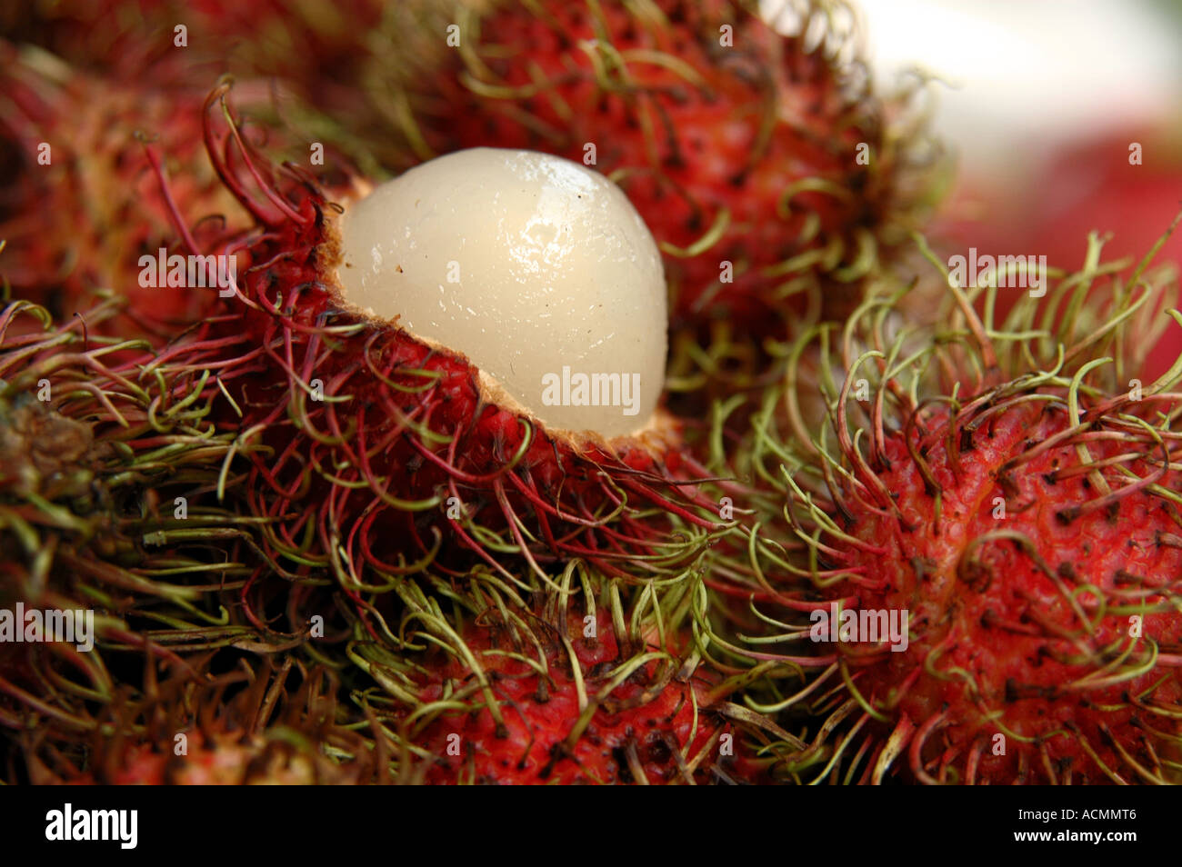 Rambutan - Thai Lychee Stock Photo - Alamy
