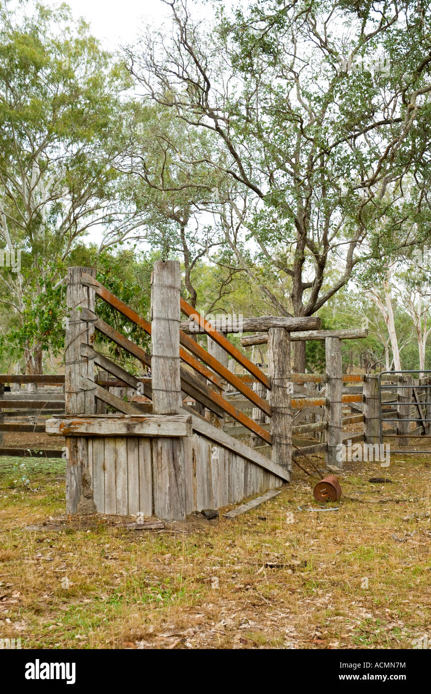 Cattle shute hi-res stock photography and images - Alamy