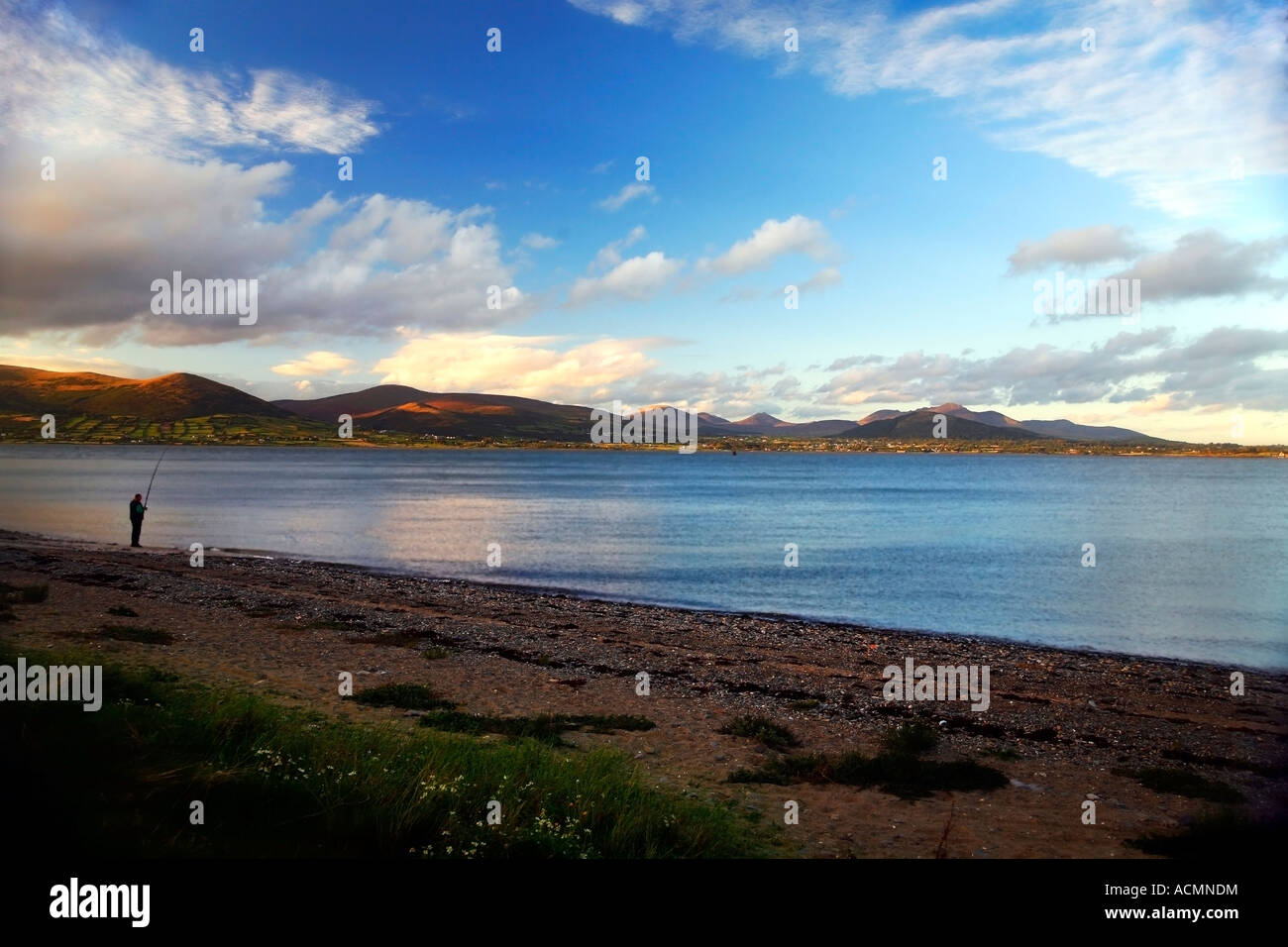 Lone Fisherman on the strand at Carlingford Lough Co. Louth Ireland ...