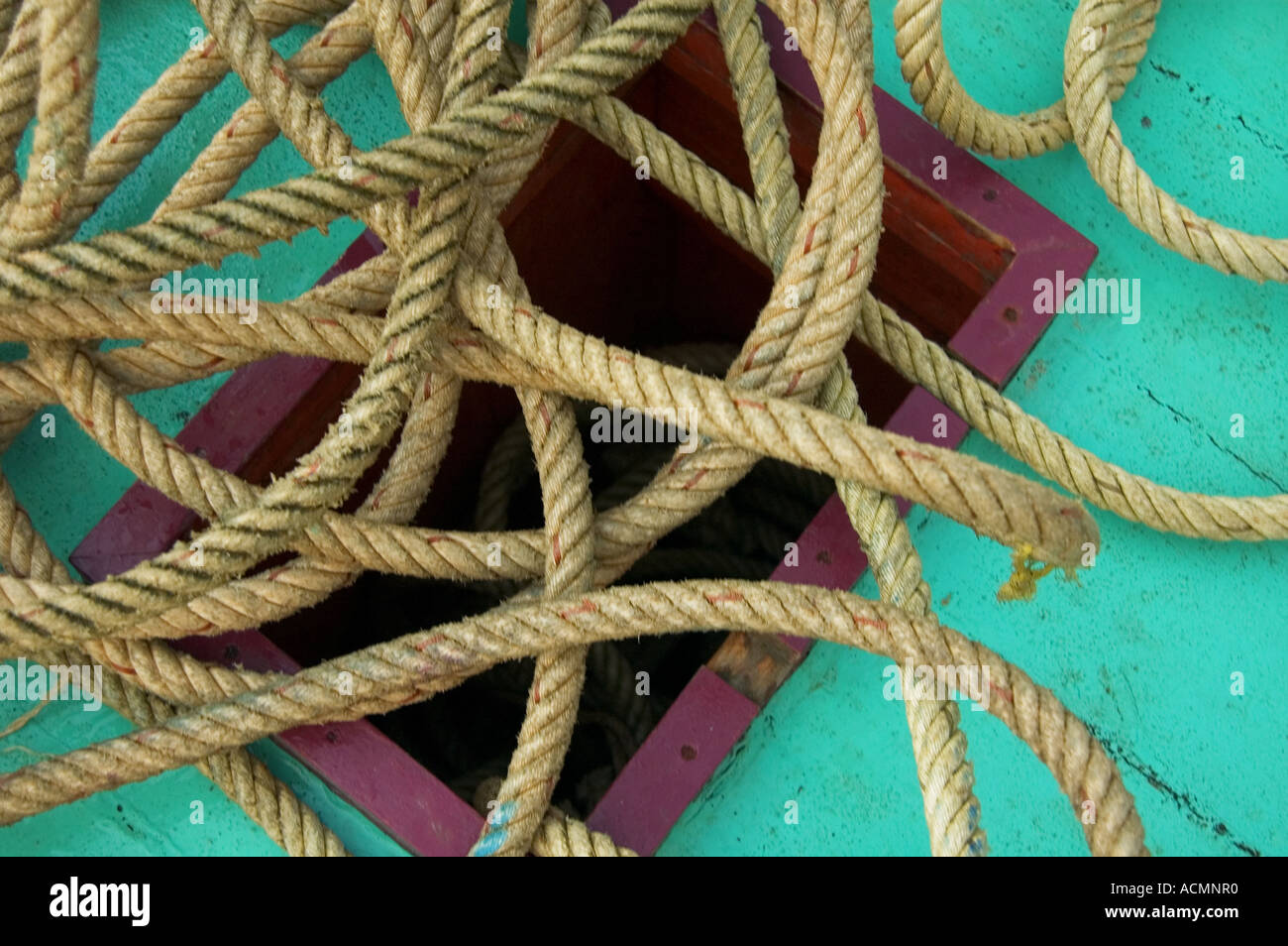 Rope on the green wood Stock Photo - Alamy