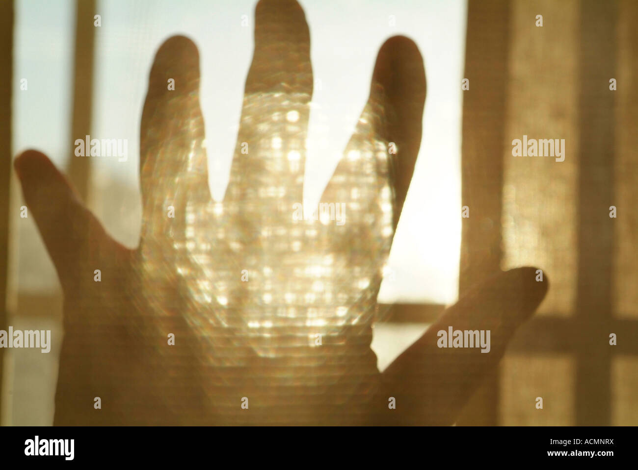 Hand and sunlight in a collage Stock Photo - Alamy