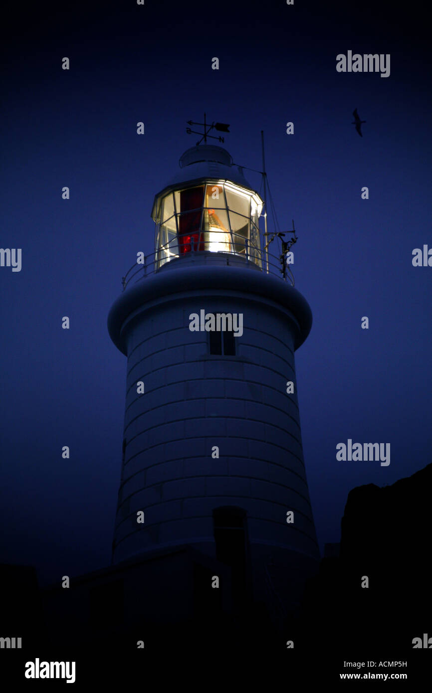 La Corbiere Lighthouse at night with sea gulls Channel Islands Jersey ...