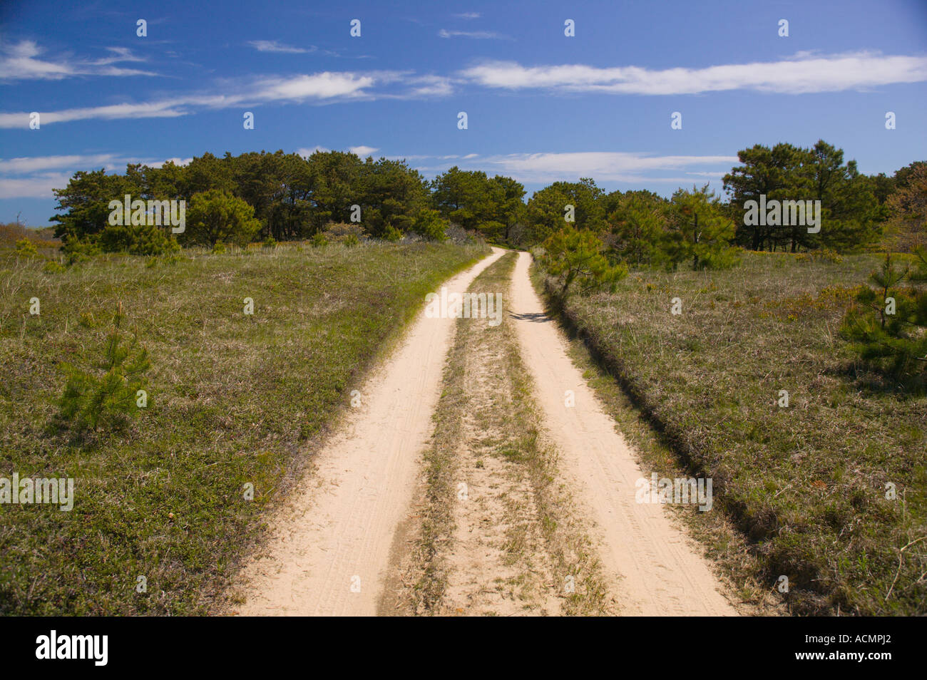Cape Cod National Seashore Provincetown Massachusetts Stock Photo - Alamy