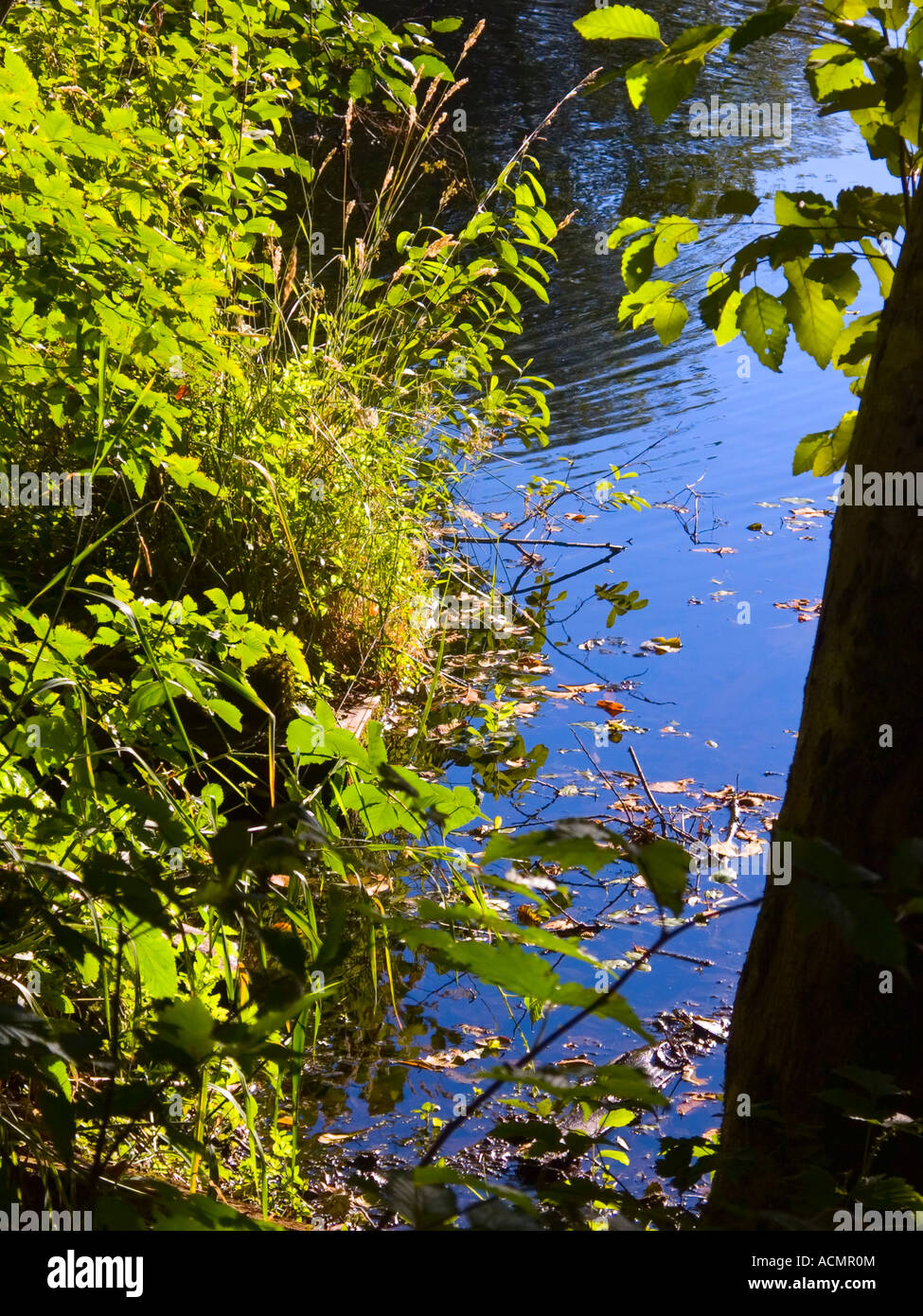 Tallman hi-res stock photography and images - Alamy