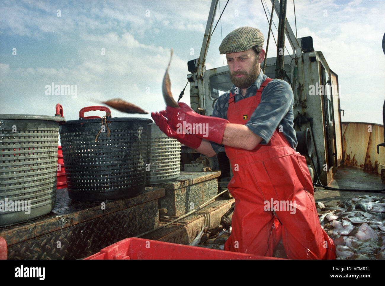 A FISHERMAN GUTTING FISH OFF THE KENT COAST UK Stock Photo - Alamy