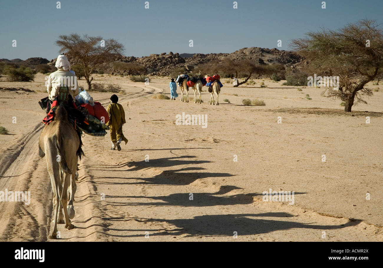 Tuareg camel train hi-res stock photography and images - Alamy