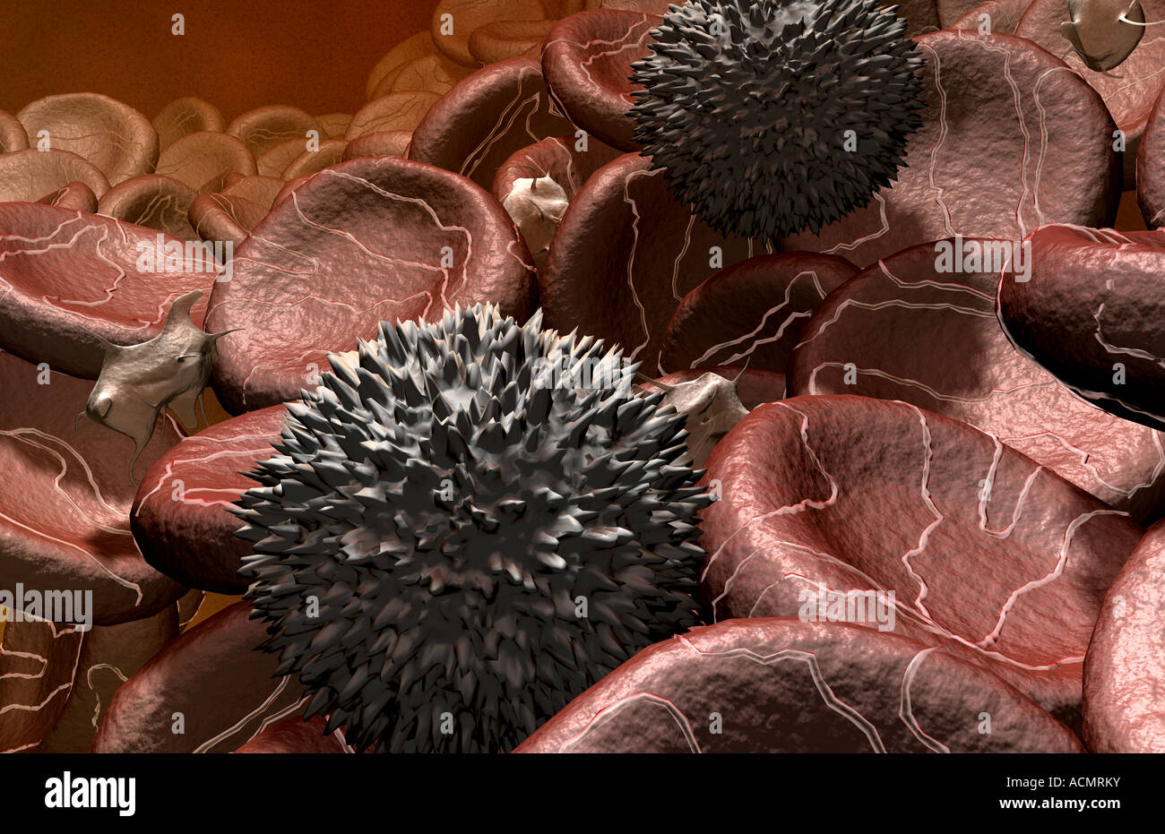 Blood platelets hi-res stock photography and images - Alamy