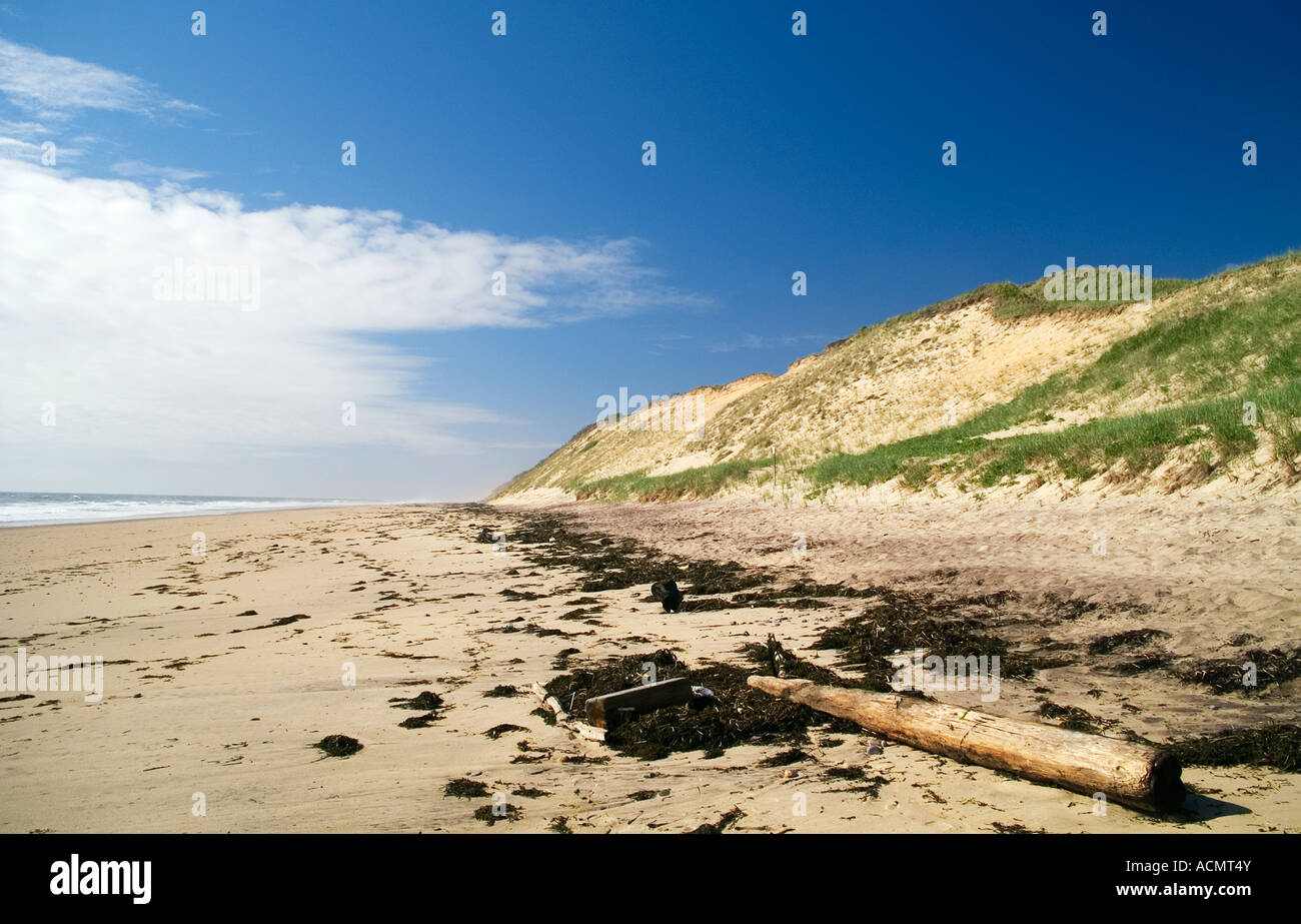 Marconi Beach Cape Cod, USA Stock Photo - Alamy