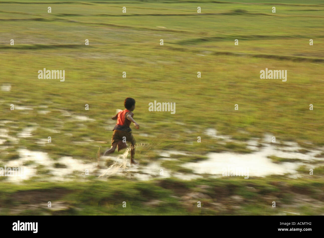 Boy running in rice field hi-res stock photography and images - Alamy