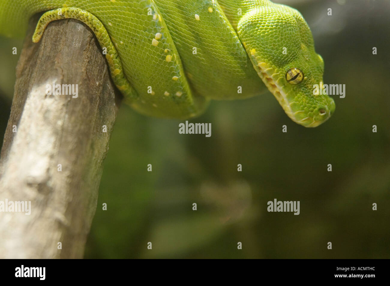 Z scale hi-res stock photography and images - Alamy