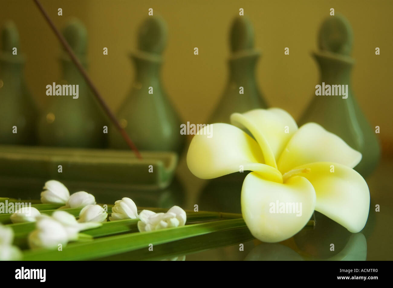 ingradient for a massage Stock Photo - Alamy